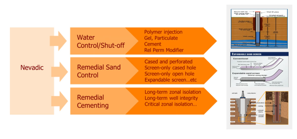 Well Completion & Workover Services – Nevadic Limited
